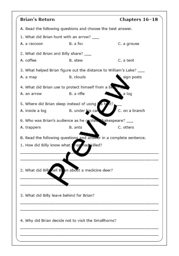 Gary Paulsen "Brian's Return" worksheets | Made By Teachers