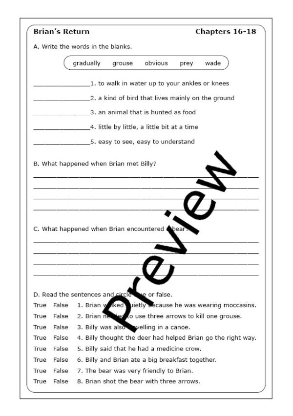 Gary Paulsen "Brian's Return" worksheets | Made By Teachers
