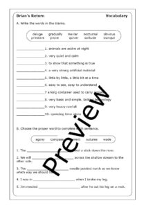 Gary Paulsen "Brian's Return" worksheets | Made By Teachers