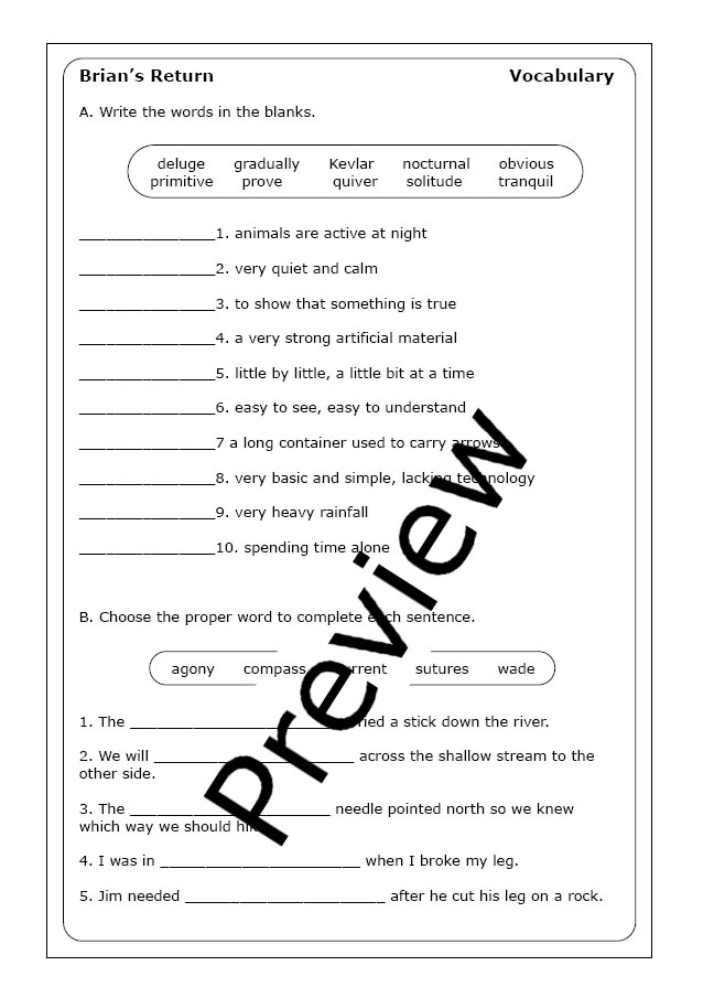 Gary Paulsen "Brian's Return" worksheets | Made By Teachers