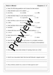 Gary Paulsen "Brian's Winter" worksheets | Made By Teachers