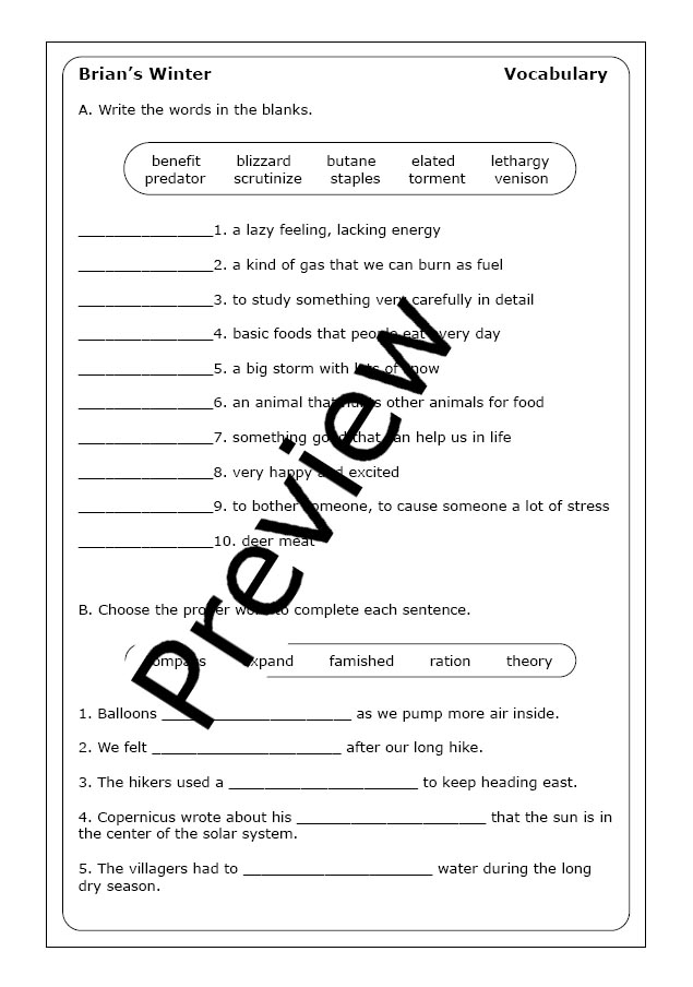 Gary Paulsen "Brian's Winter" worksheets | Made By Teachers
