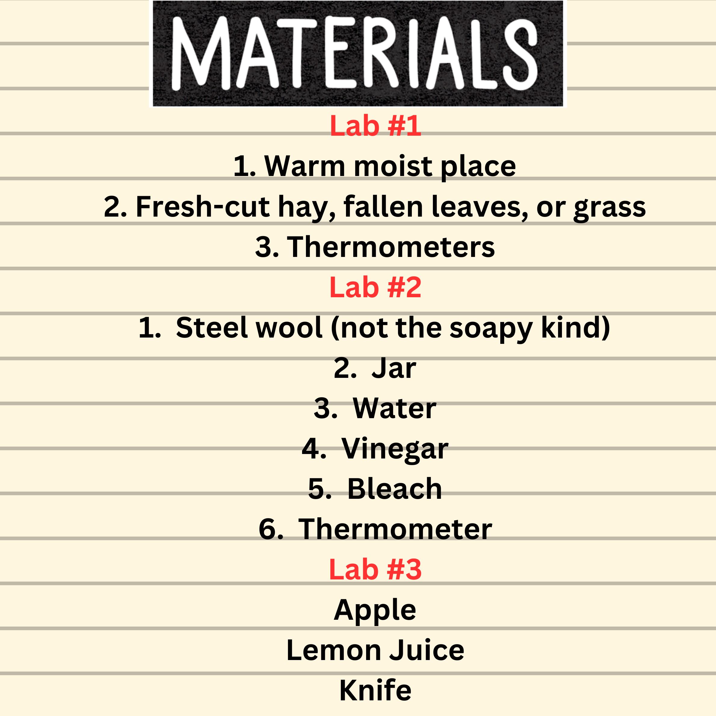 Chemistry Camping, School, Oxidation Exothermic Heat Reaction 2 Labs ...