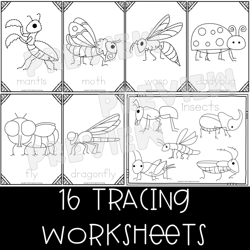 Insects Tracing Worksheets Fine Motor Activity Insect Tracing ...