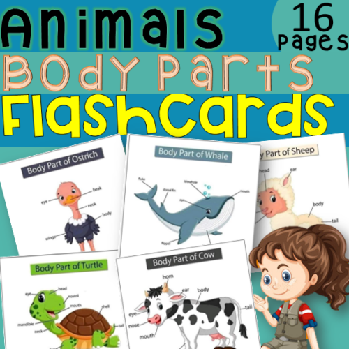 Discover the Wonders of the Animal Kingdom: Body Parts Flashcards ...