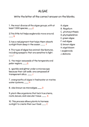 Explore the World of Microbiology: Fun and Educational Worksheets for ...