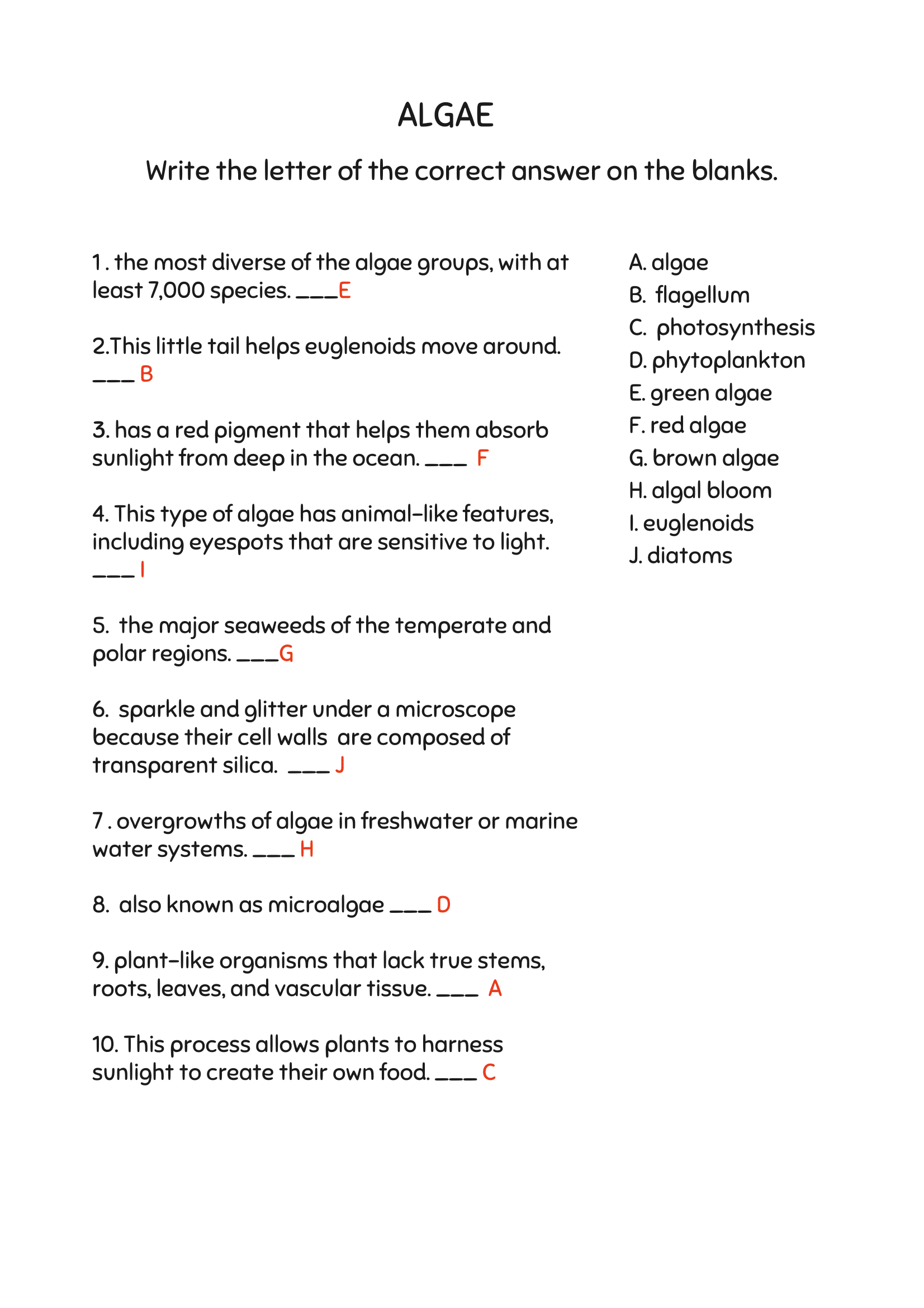Explore The World Of Microbiology Fun And Educational Worksheets For