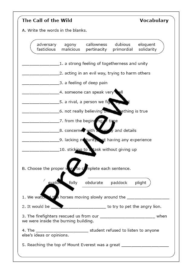 Jack London "The Call of the Wild" worksheets | Made By Teachers