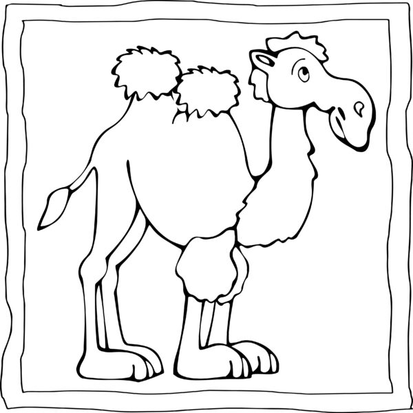 Camel Coloring Book : Easy and Fun Camels Coloring Book for Kids | Made ...