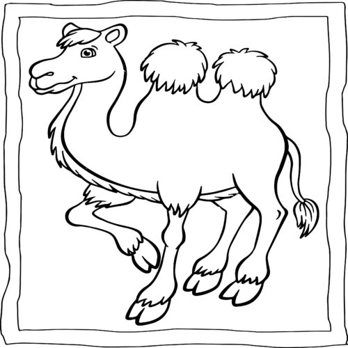 Camel Coloring Book : Easy and Fun Camels Coloring Book for Kids | Made ...