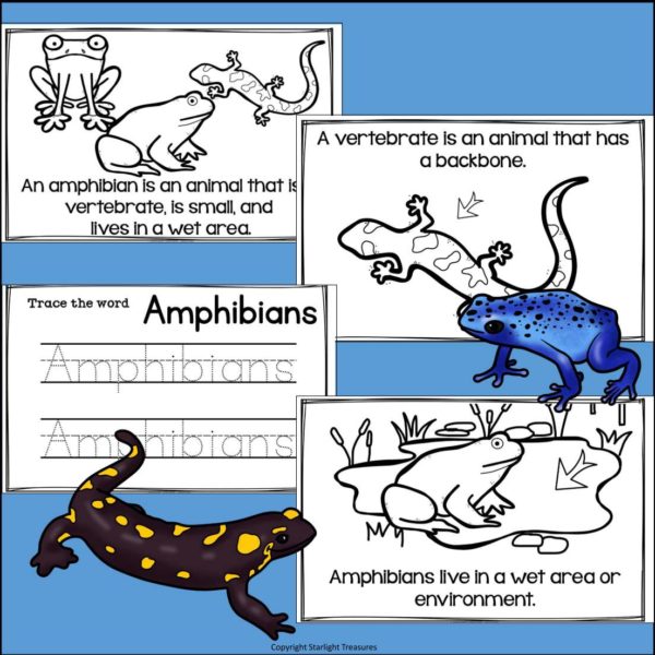 Amphibians Mini Book for Early Readers: Animal Groups and ...