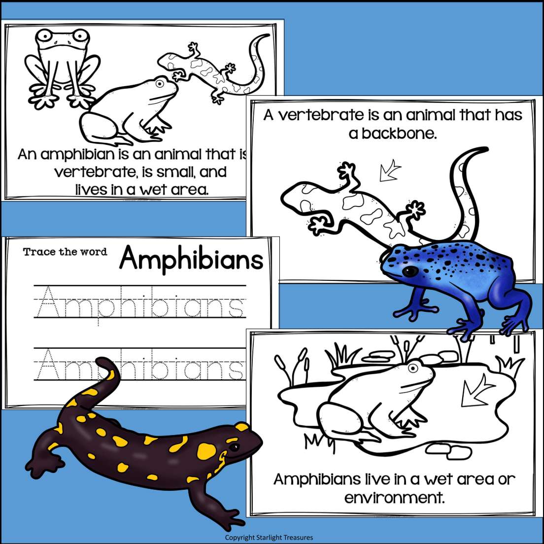 Amphibians Mini Book for Early Readers: Animal Groups and ...