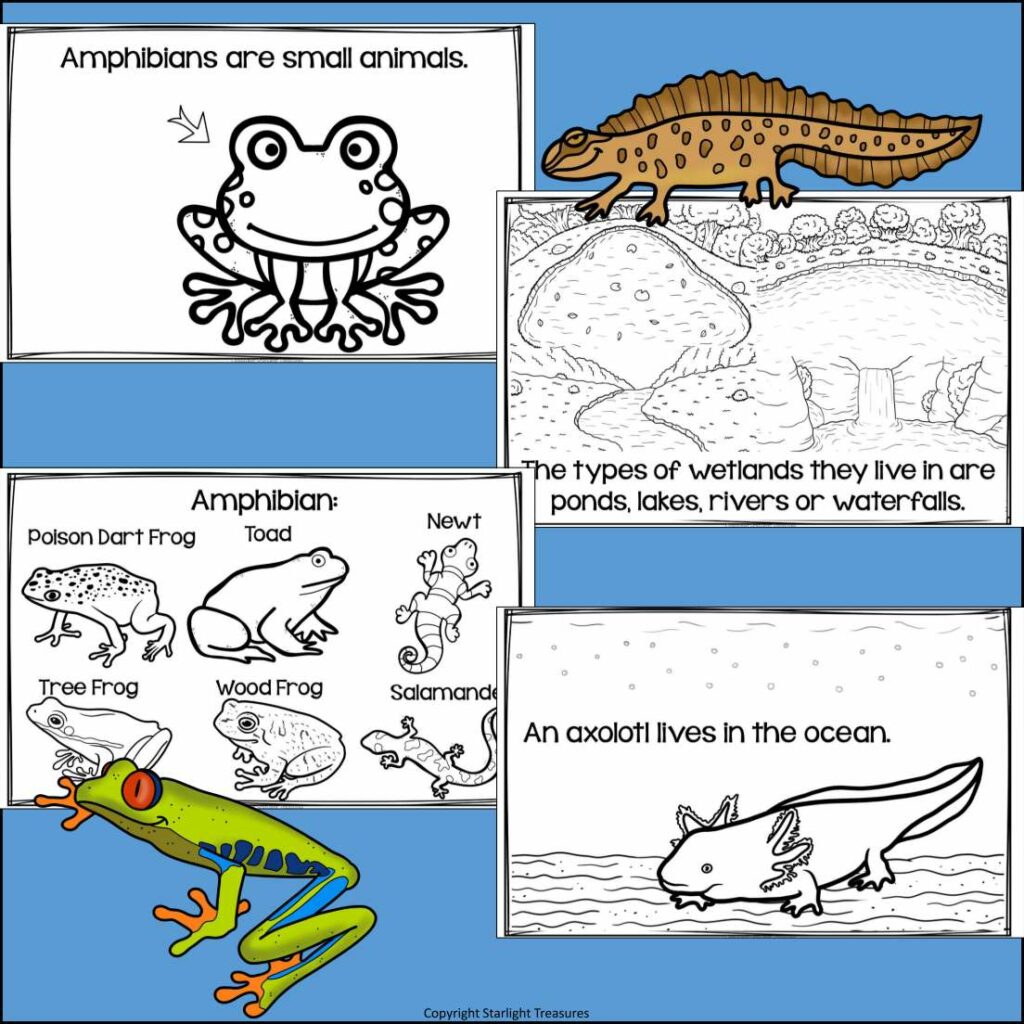 Amphibians Mini Book for Early Readers: Animal Groups and ...