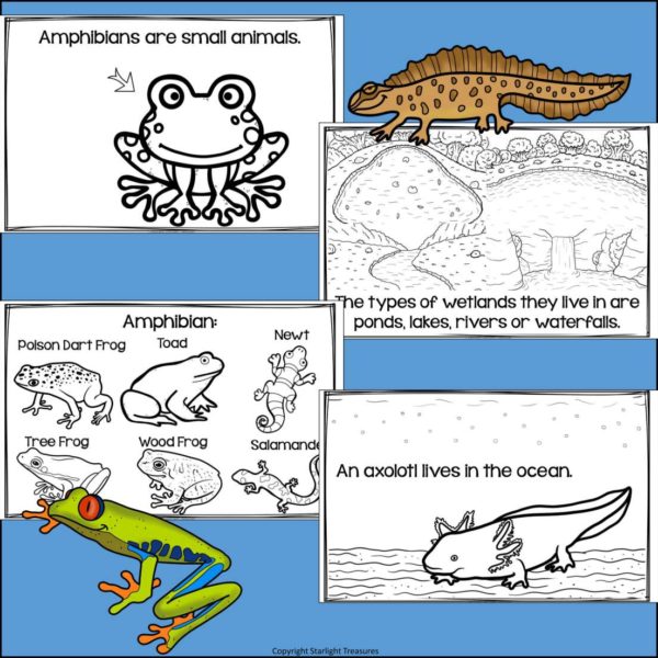 Amphibians Mini Book for Early Readers: Animal Groups and ...