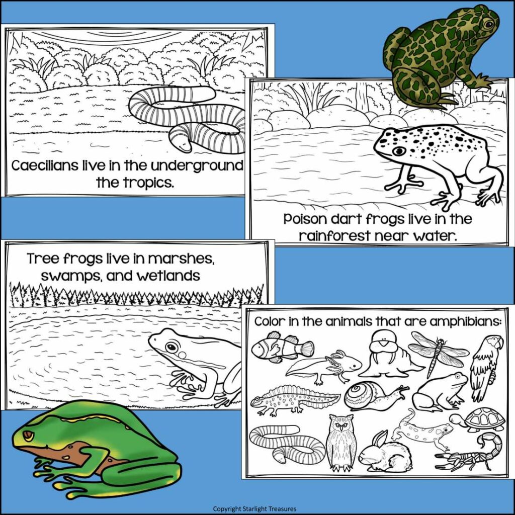 Amphibians Mini Book for Early Readers: Animal Groups and ...