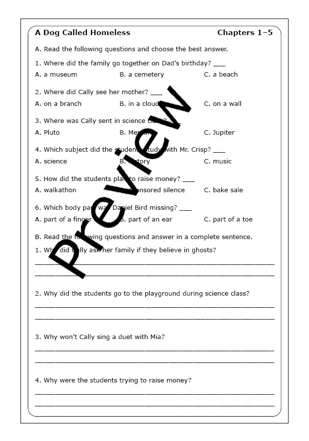 Sarah Lean "A Dog Called Homeless" worksheets | Made By Teachers