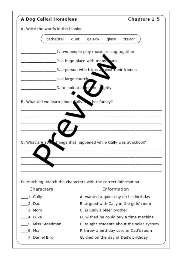 Sarah Lean "A Dog Called Homeless" worksheets | Made By Teachers