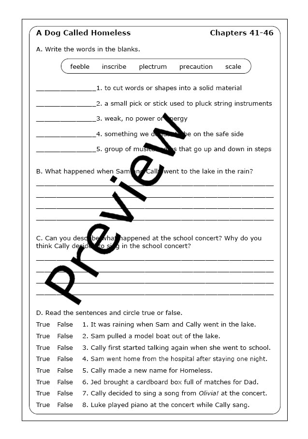 Sarah Lean "A Dog Called Homeless" worksheets | Made By Teachers