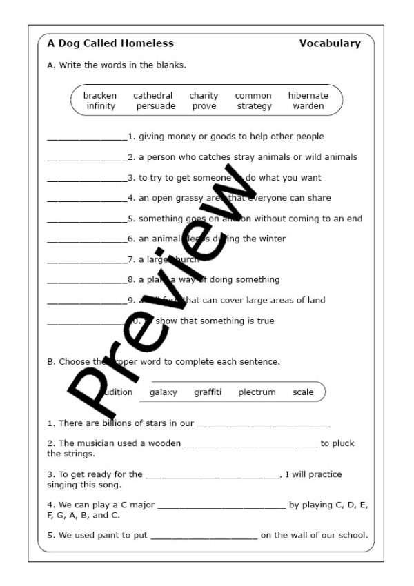 Sarah Lean "A Dog Called Homeless" worksheets | Made By Teachers