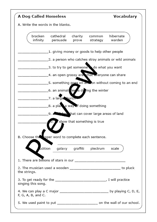 Sarah Lean "A Dog Called Homeless" worksheets | Made By Teachers