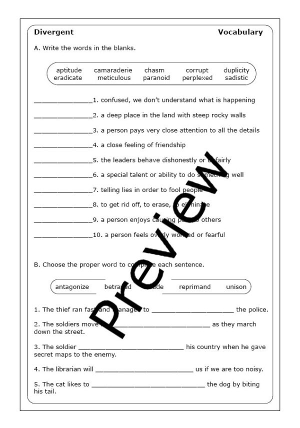 Veronica Roth "Divergent" worksheets | Made By Teachers
