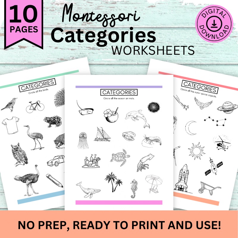 Montessori Word Match Worksheets