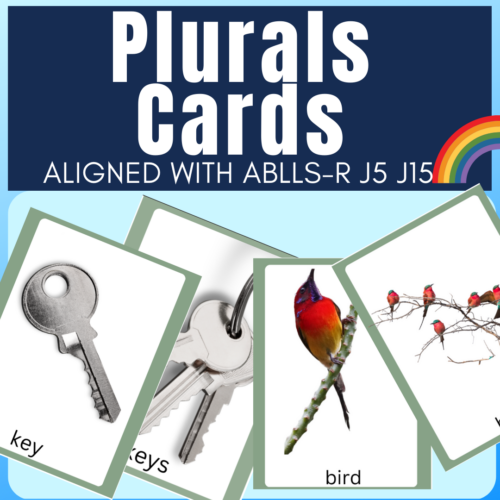 Plural Noun Picture Cards "s" "es" "ves" "ies" for Aba Autism ABLLS-R ...