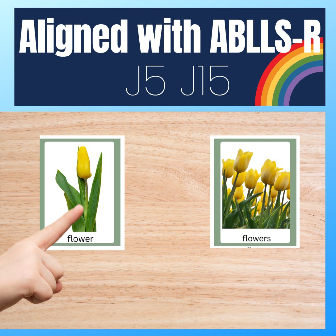 Plural Noun Picture Cards "s" "es" "ves" "ies" for Aba Autism ABLLS-R ...