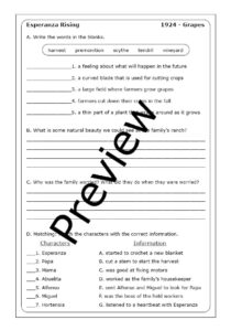 Pam Muñoz Ryan "Esperanza Rising" worksheets | Made By Teachers