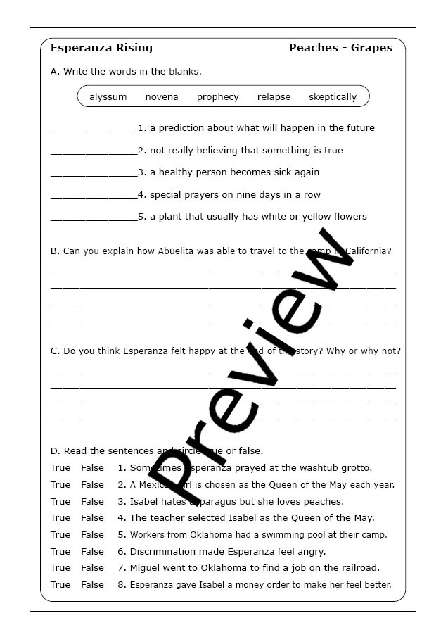 Pam Muñoz Ryan "Esperanza Rising" worksheets | Made By Teachers