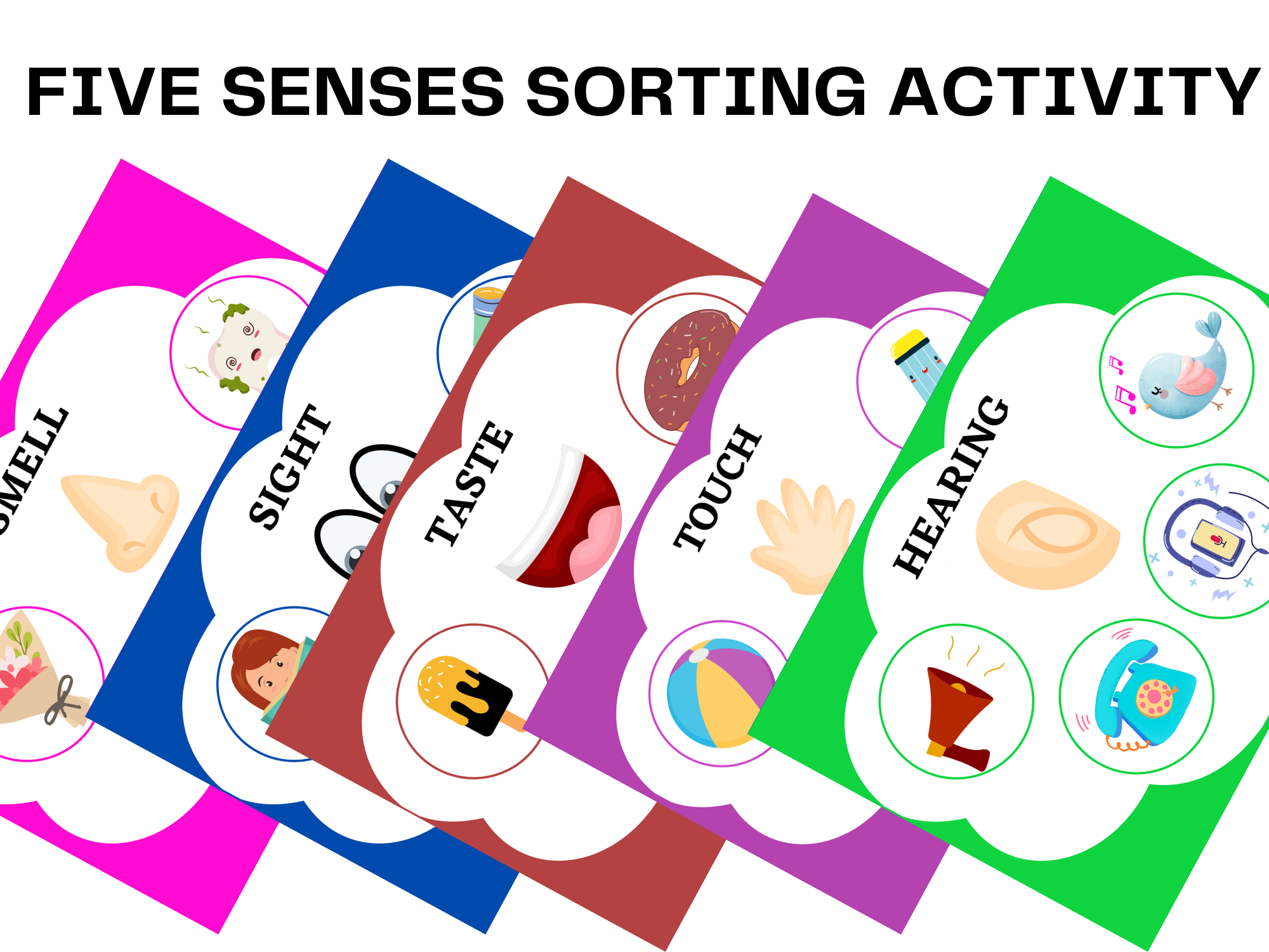 Five Senses Sorting Activity, Fully Assembled, Learn 5 Senses, Toddlers ...