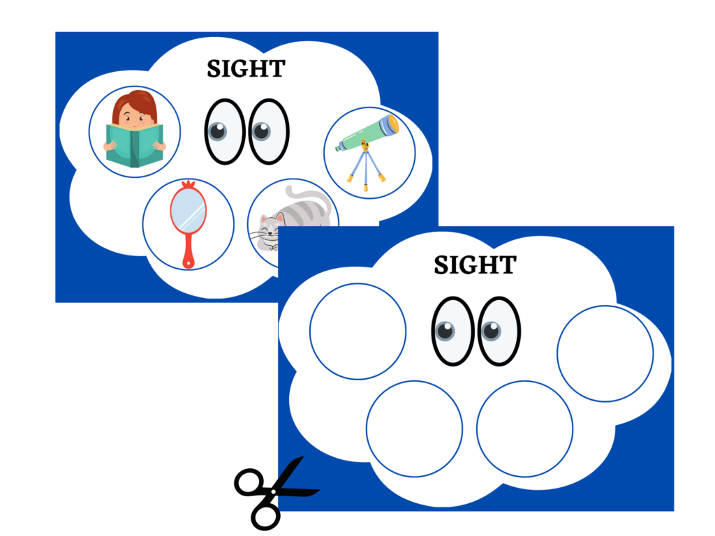 Five Senses Sorting Activity, Fully Assembled, Learn 5 Senses, Toddlers ...