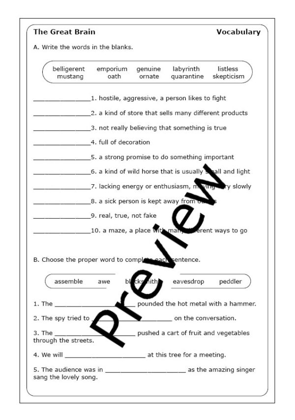 John D. Fitzgerald "The Great Brain" worksheets | Made By Teachers