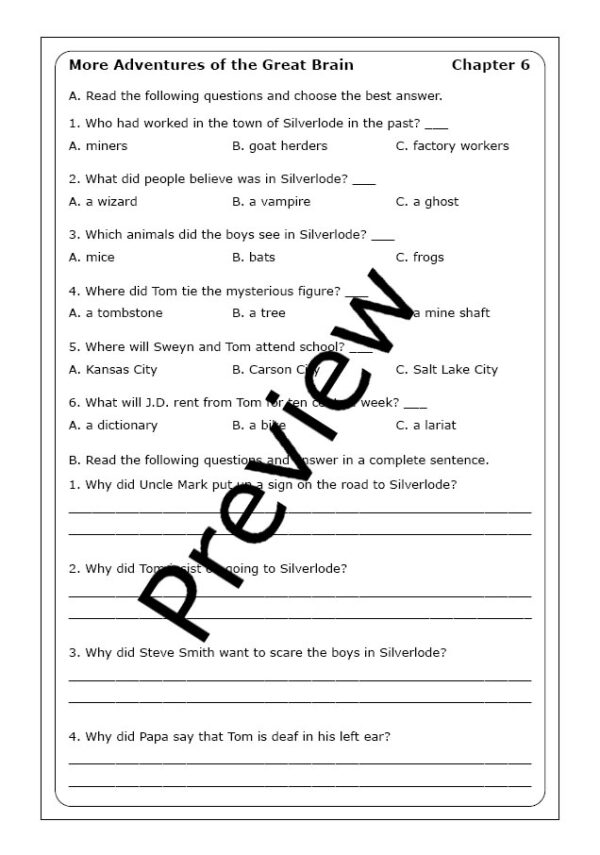 John D. Fitzgerald "More Adventures of the Great Brain" worksheets ...