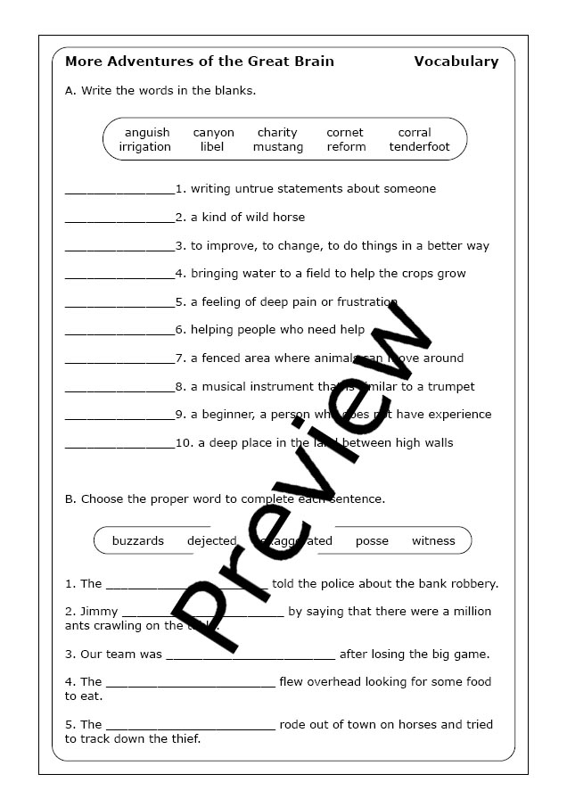 John D. Fitzgerald "More Adventures of the Great Brain" worksheets ...