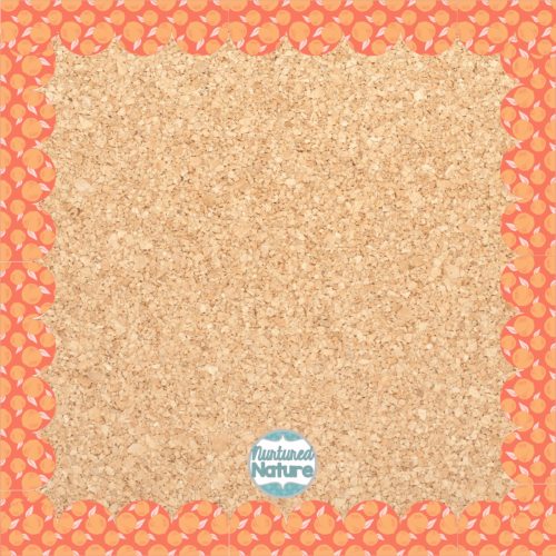 Peaches Bulletin Board Border - Printable Farmhouse Classroom Decor ...