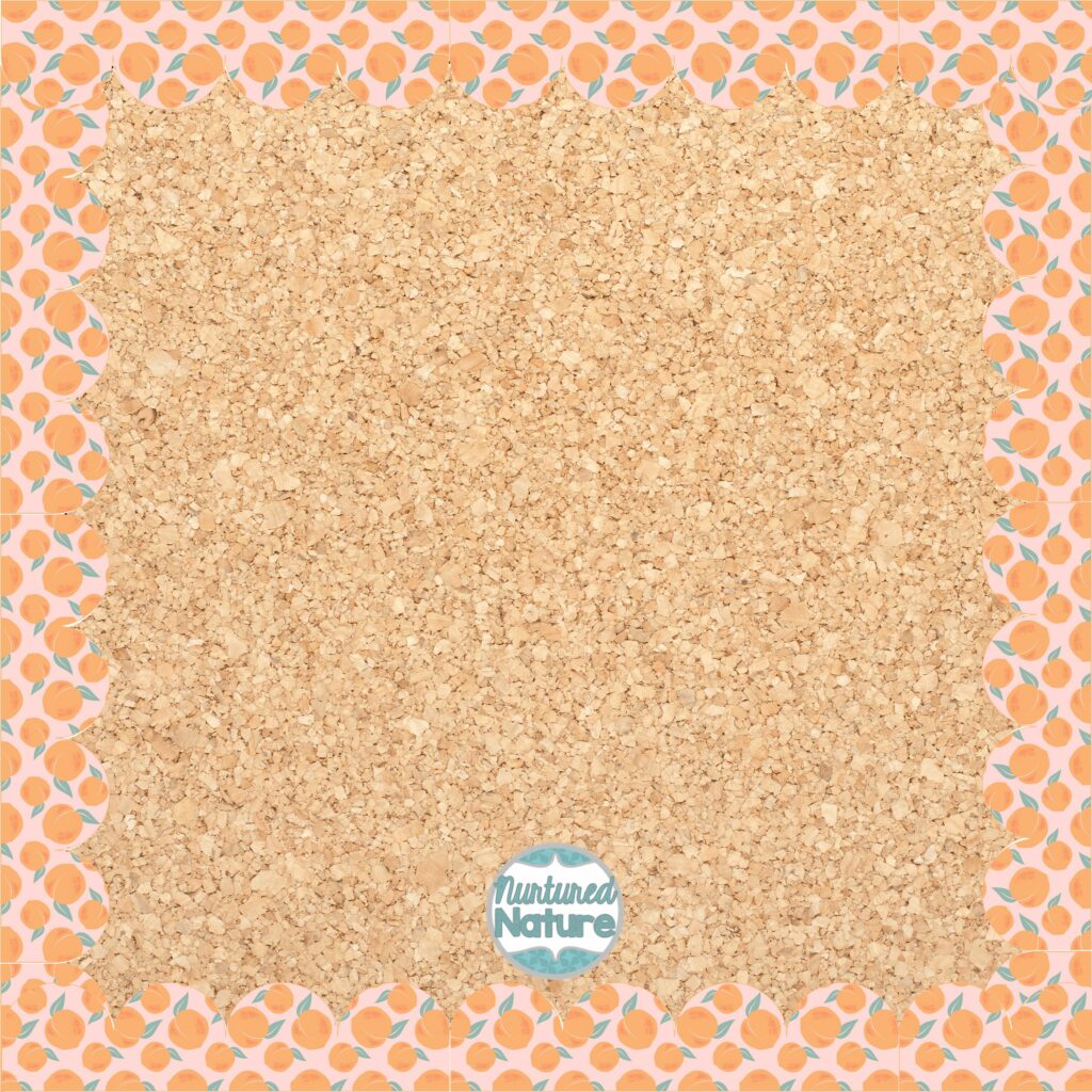 Peaches Bulletin Board Border - Printable Farmhouse Classroom Decor 2 ...