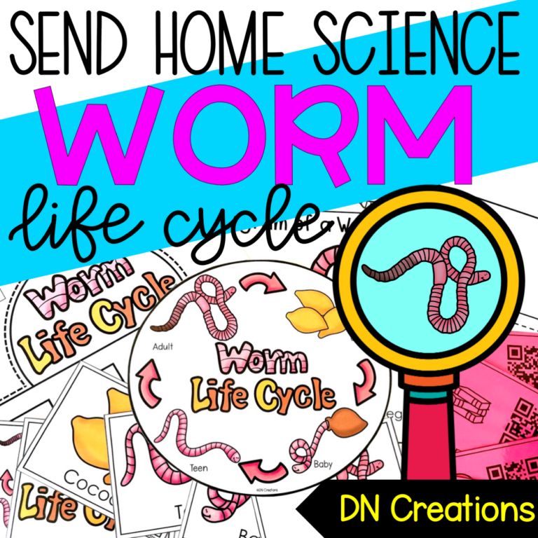 Send HOME Science Worm Life Cycle | All about Worms | Worm Lifecycle ...