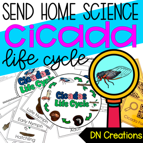 Send HOME Science Cicada Life Cycle l All about Cicadas l Insect ...