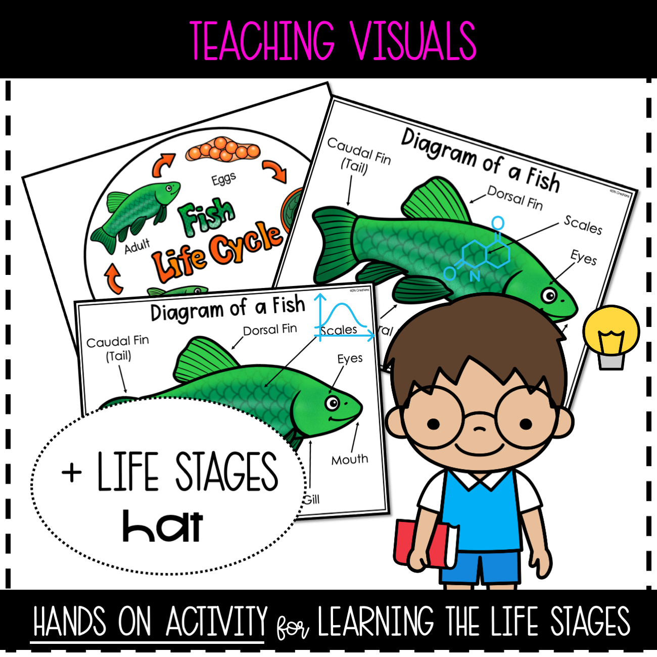 Send HOME Science Fish Life Cycle l Fish Posters l Fish Lifecycle ...