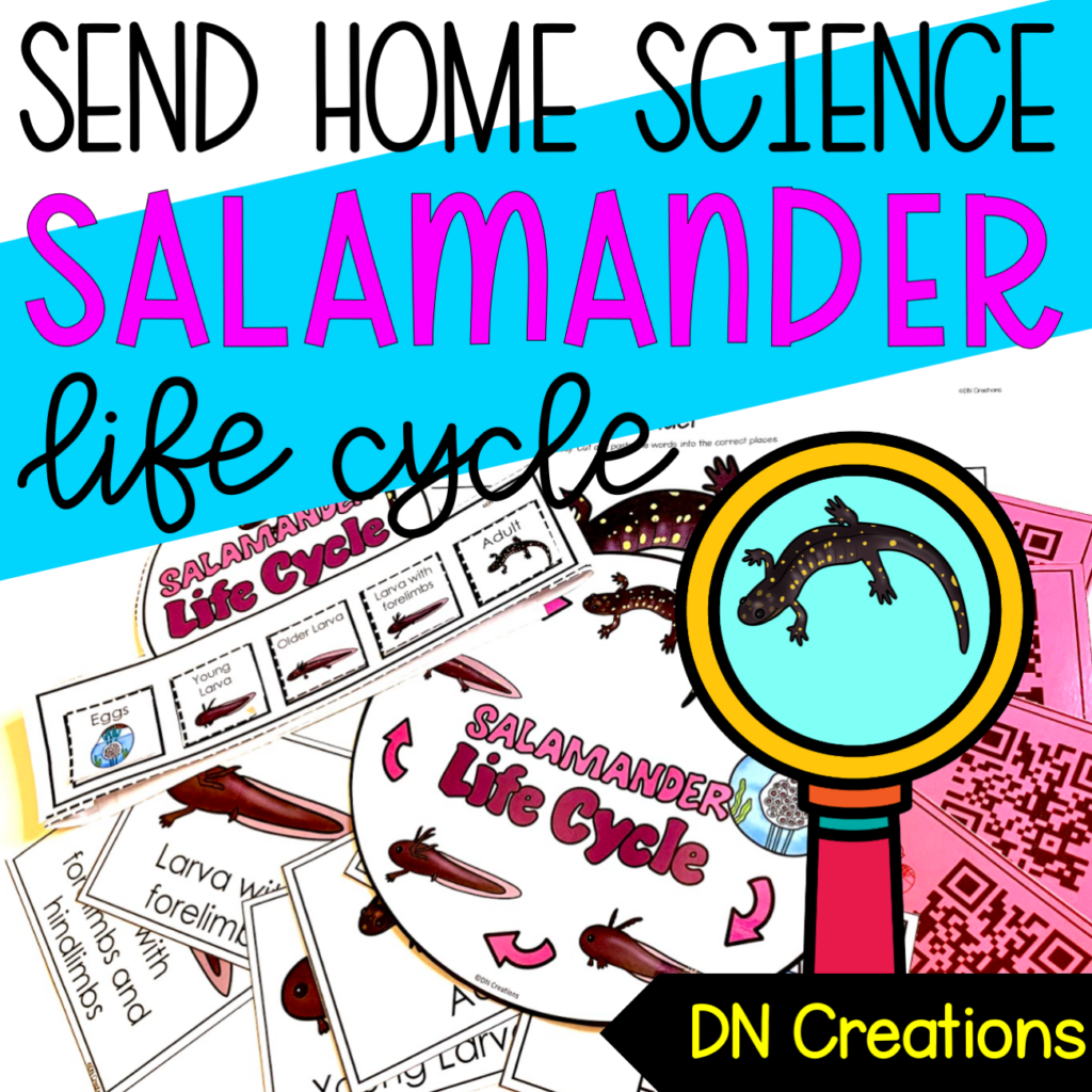 Send HOME Science Salamander Life Cycle | Salamander Lifecycle Packet ...
