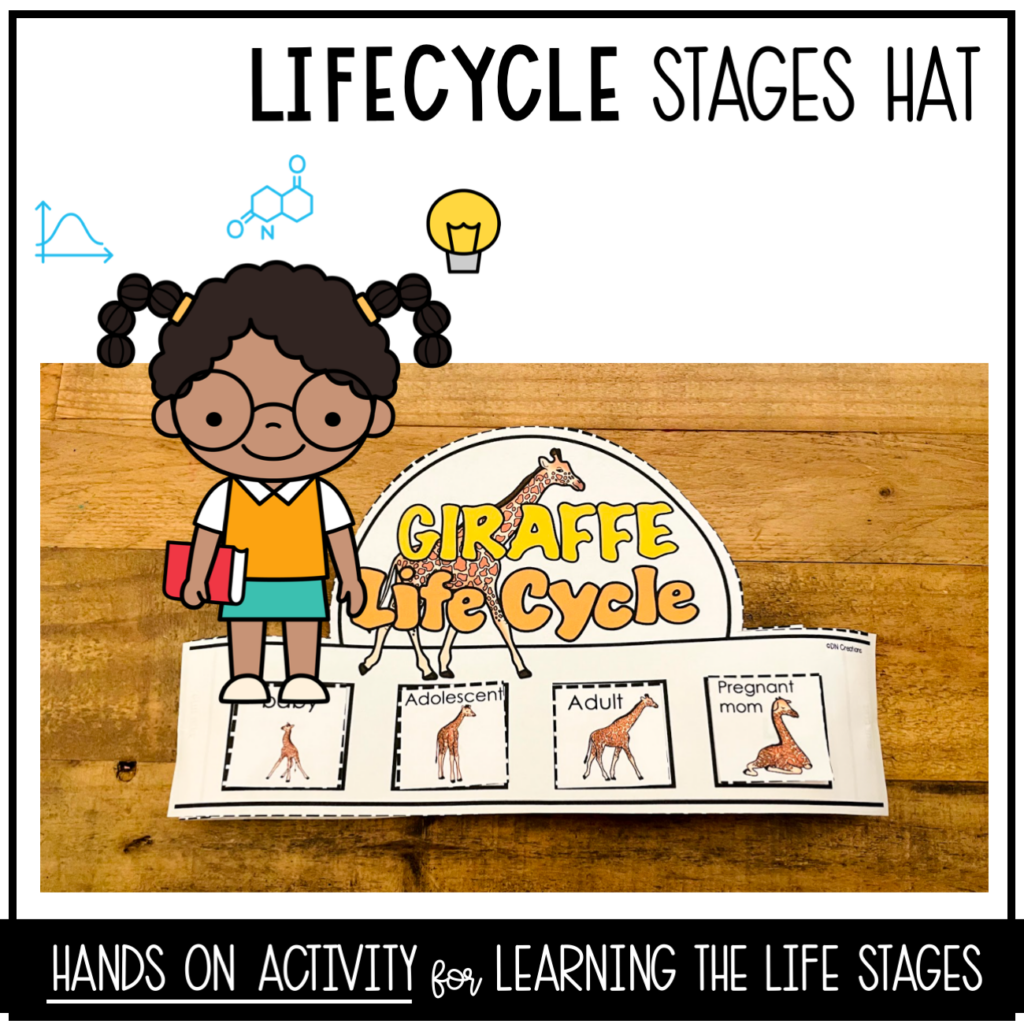 Send HOME Science Giraffe Life Cycle | All about Giraffes | Giraffe ...