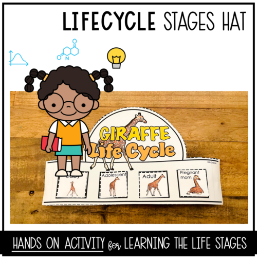 Send HOME Science Giraffe Life Cycle | All about Giraffes | Giraffe ...