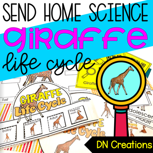 Send HOME Science Giraffe Life Cycle | All about Giraffes | Giraffe ...