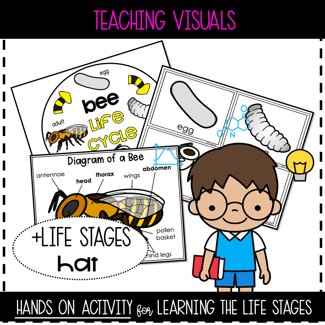 Send HOME Science Bee Life Cycle | All about Bees | Bee Craft and ...