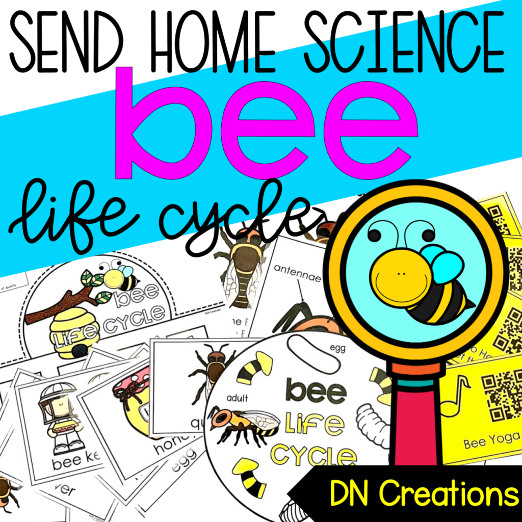 Send HOME Science Bee Life Cycle | All about Bees | Bee Craft and ...