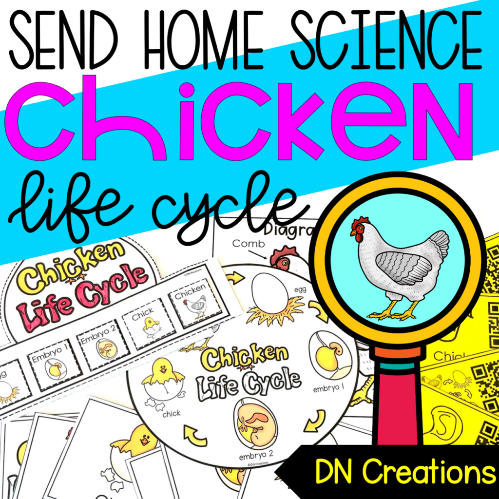 Send HOME Science Chicken Life Cycle l All about Chickens l Chicken ...