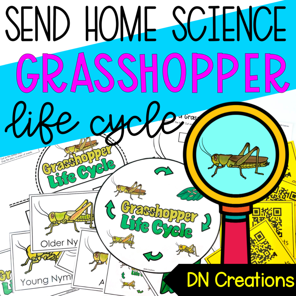 Send HOME Science Grasshopper Life Cycle | All about Grasshoppers ...