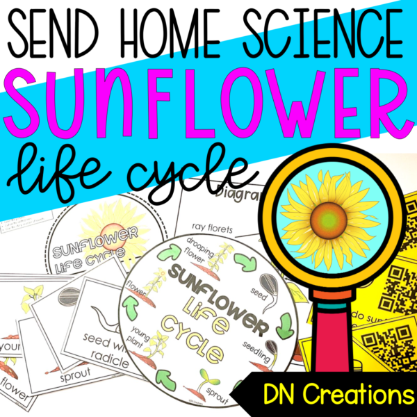 Send HOME Science SUNFLOWER Life Cycle l All about Sunflowers l Flower ...