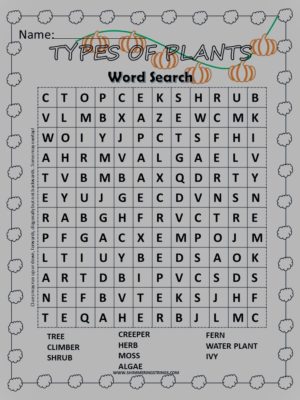Types of Plants Word Search Activity | Made By Teachers